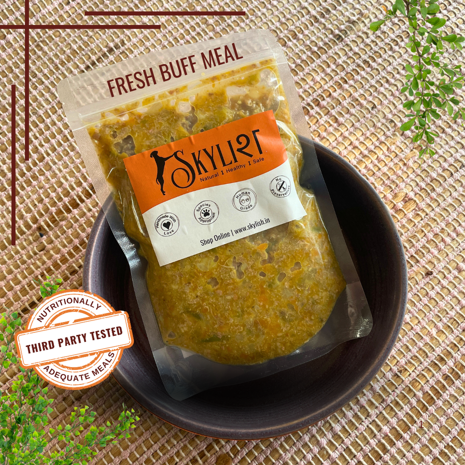 Fresh Food For Dogs | Fresh Dog Food | Best Dog Food for Dogs – Skylish